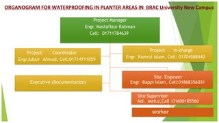 Organogram of Project.pdf