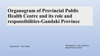 Organogram of Provincial Public Health Centre and its.pptx