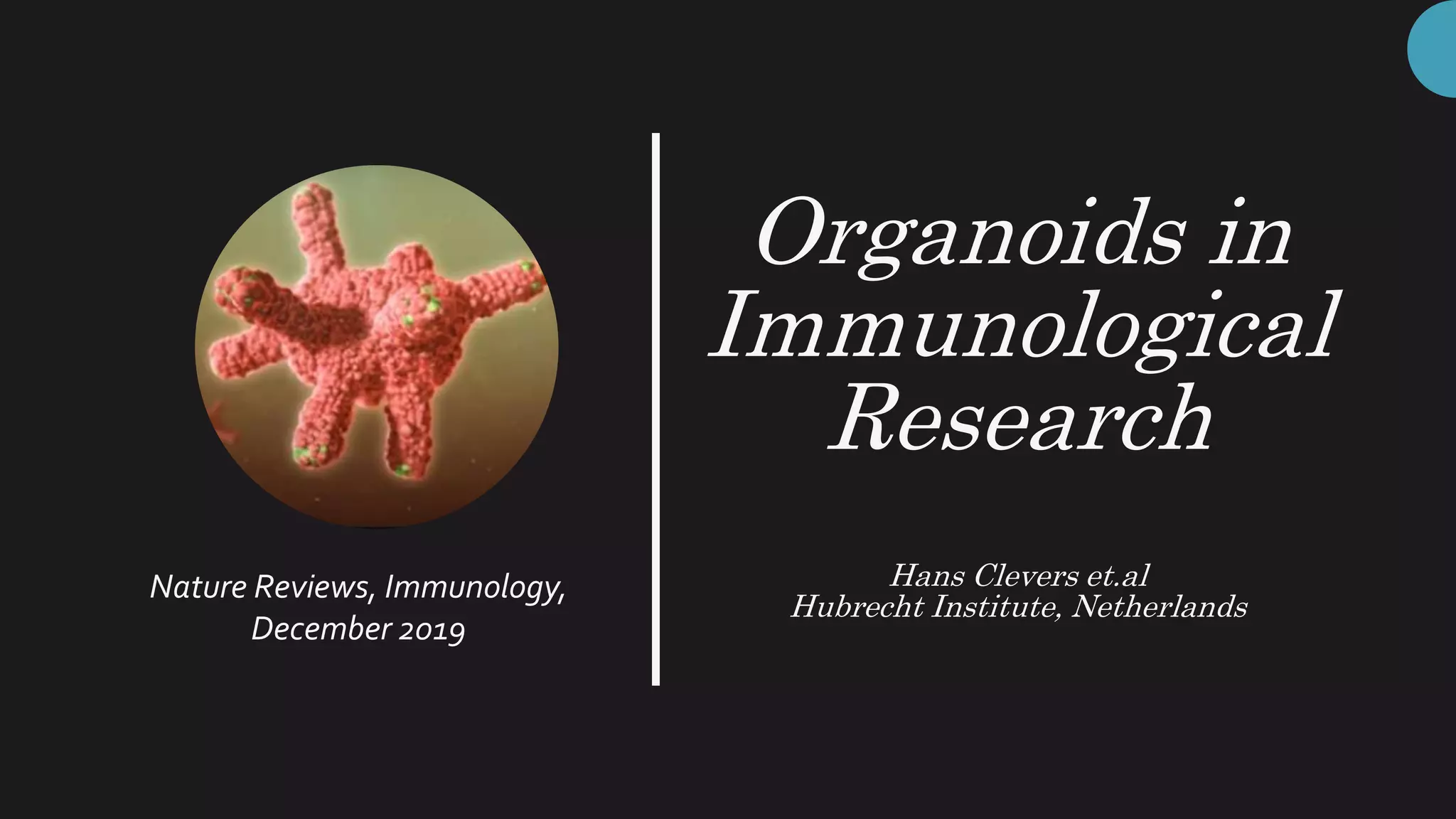 Organoids in immunological research | PPTX