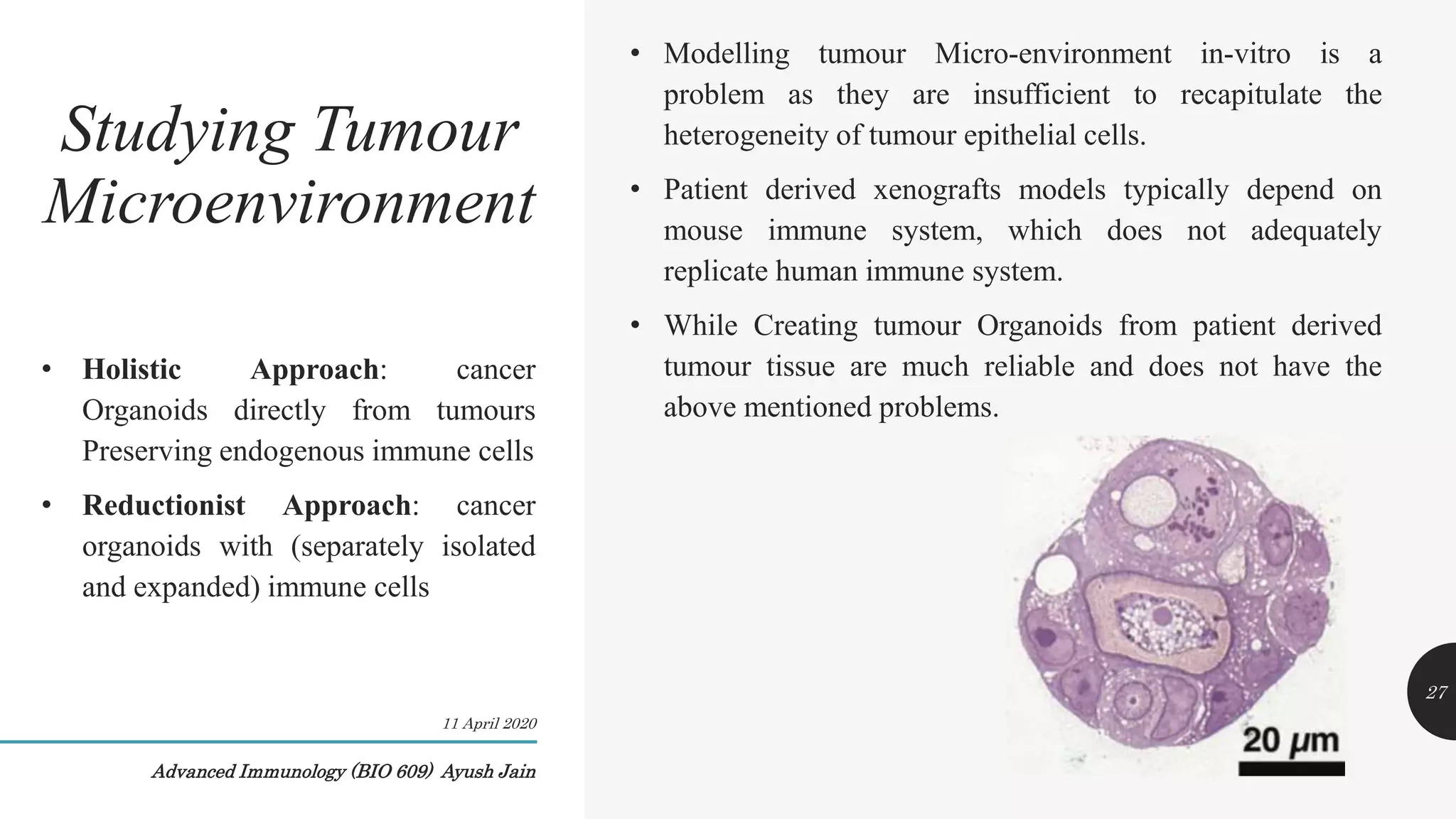 Organoids in immunological research | PPTX
