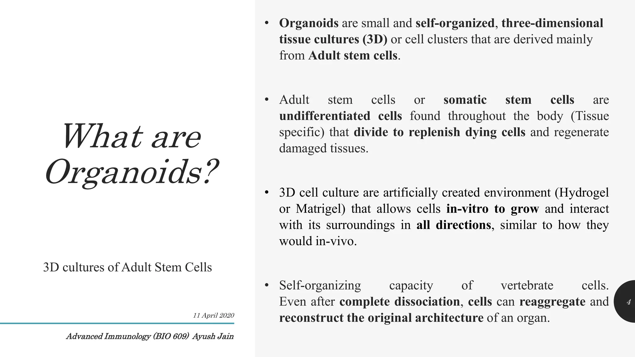 Organoids in immunological research | PPTX