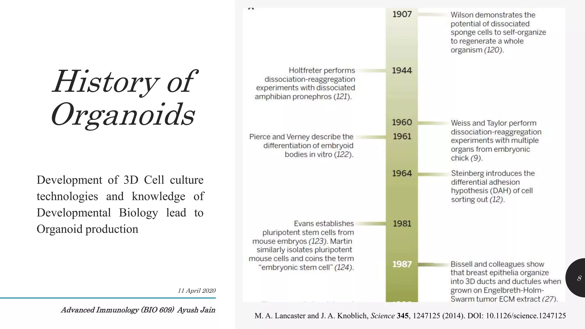 Organoids in immunological research | PPTX