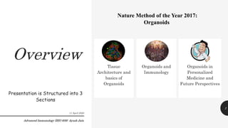 Organoids in immunological research | PPTX