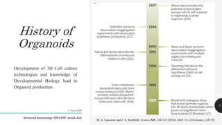 Organoids in immunological research | PPTX