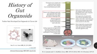 Organoids in immunological research | PPTX