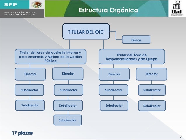 Órgano Interno De Control En El Ifai Secretaría De La Función Públi…