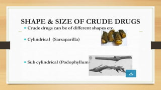 Organoleptic.pptx