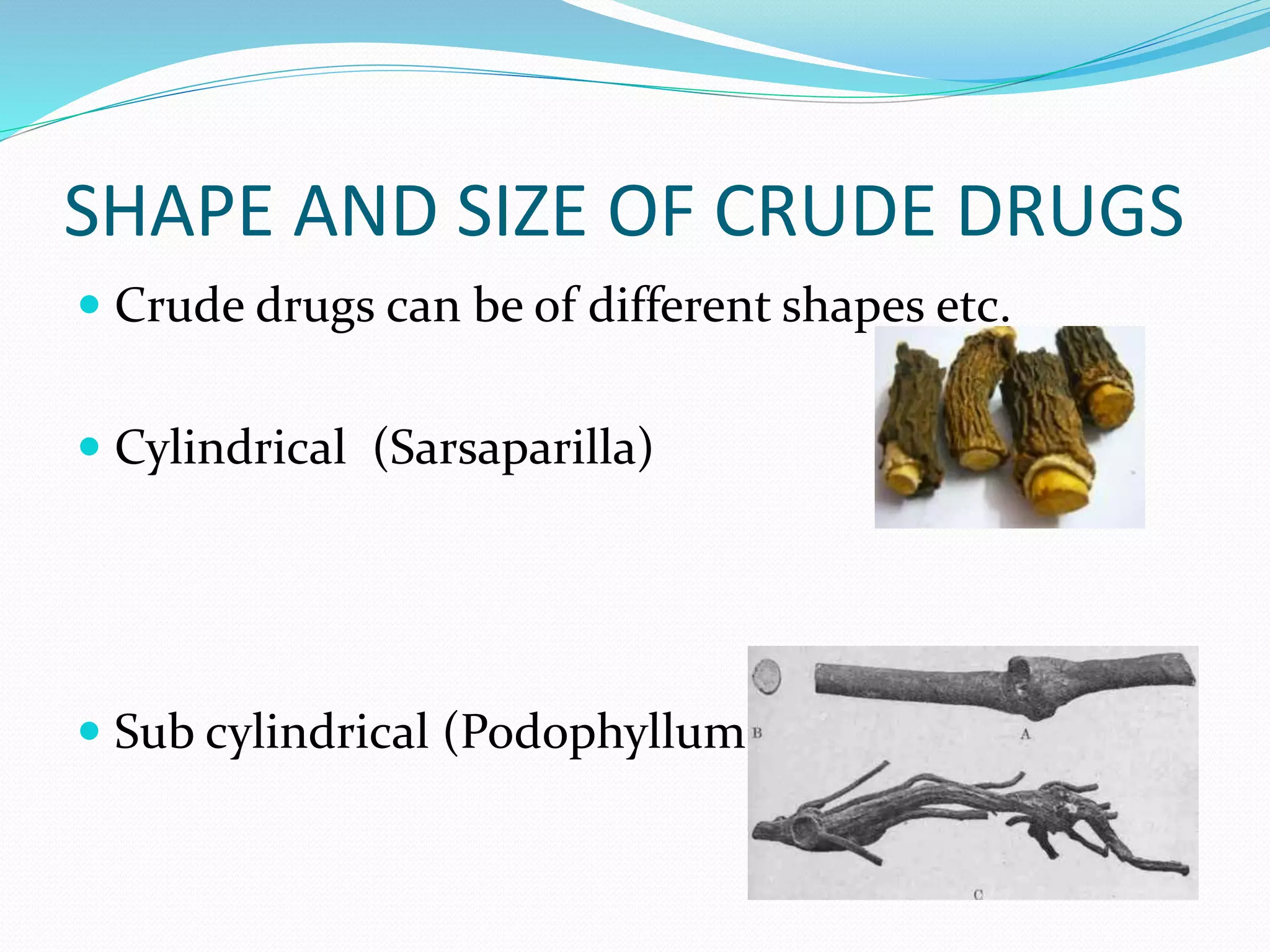 Organoleptic evaluation of crude drugs | PPTX
