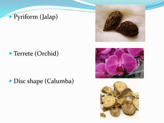 Organoleptic evaluation of crude drugs | PPTX