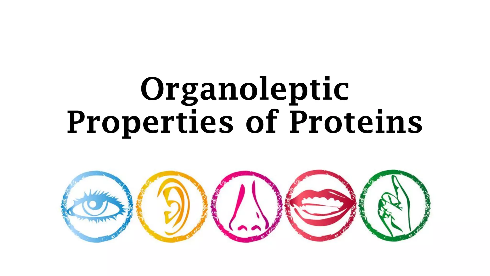 Organoleptic properties of proteins | PDF