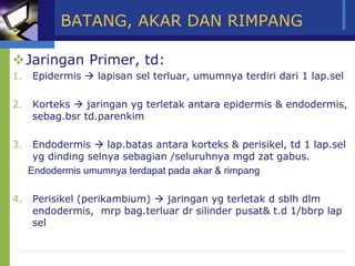 Organologi tumbuhan | PPT