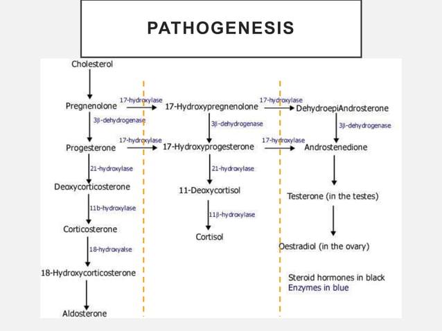 CONGENITAL ADRENAL HYPERPLASIA (CAH)- ADRENOMEHGALY | PPTX