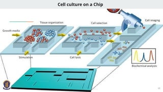 Introduction to Organ on a Chip with examples of Brain, Kidnes.pptx
