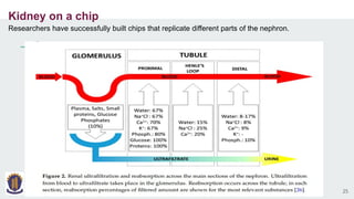 Introduction to Organ on a Chip with examples of Brain, Kidnes.pptx