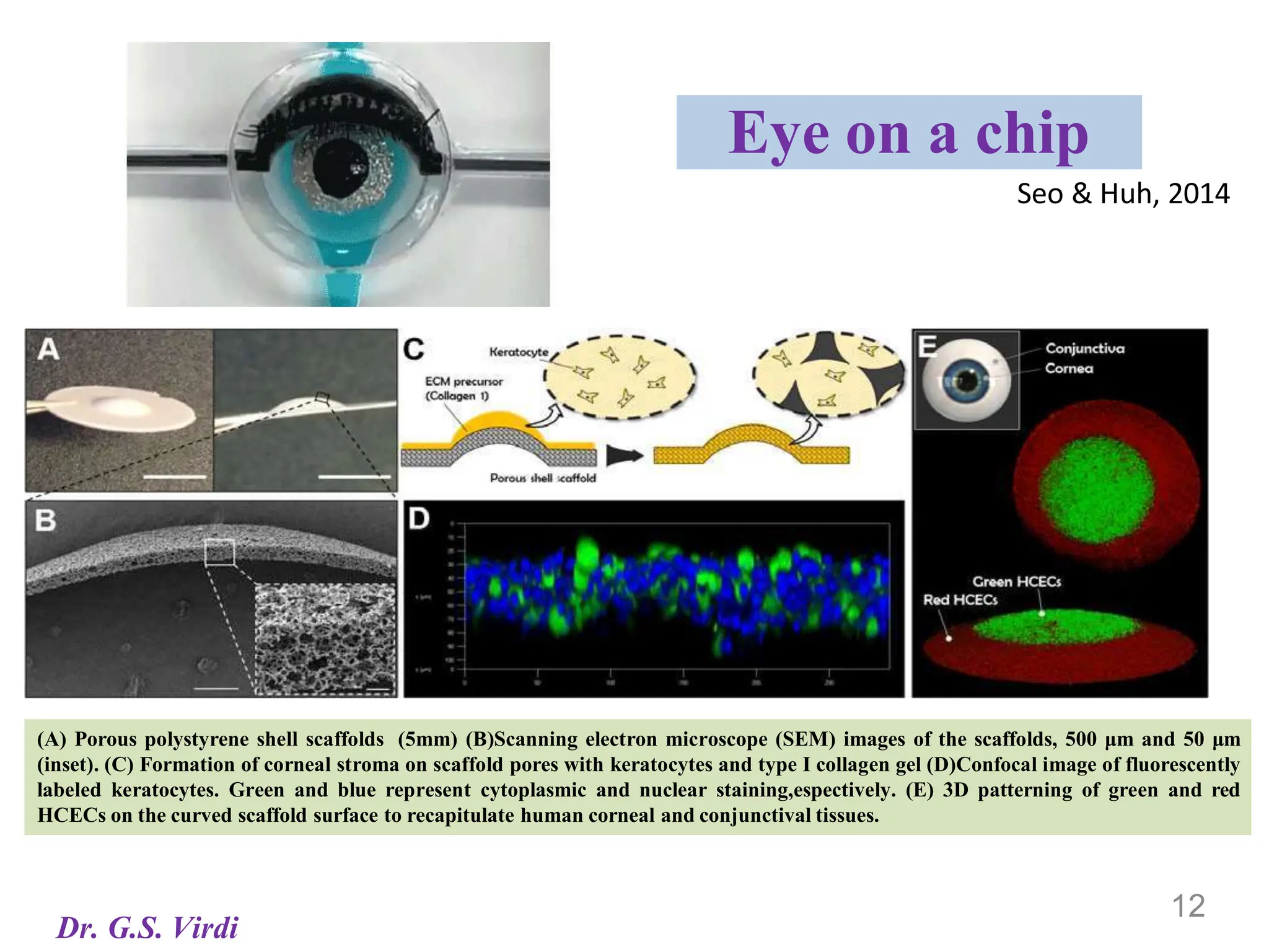 Organ-on-a-Chip Technology: Microengineered Human Organ Models for Drug ...