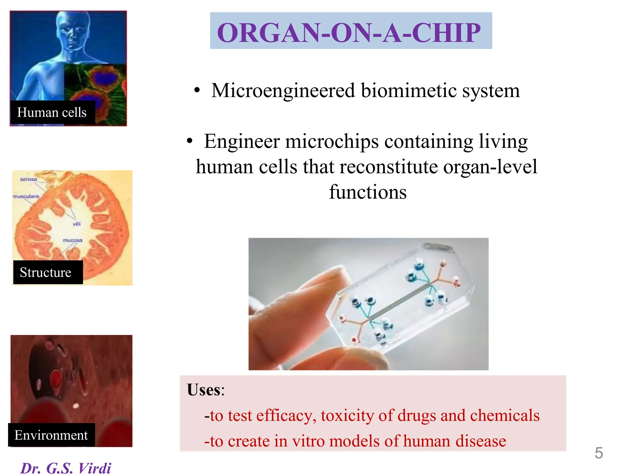Organ-on-a-Chip Technology: Microengineered Human Organ Models for Drug ...