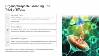 Organophosphate-and-Paraquat-Poisoning-Clinical-Insights-for-Medical ...