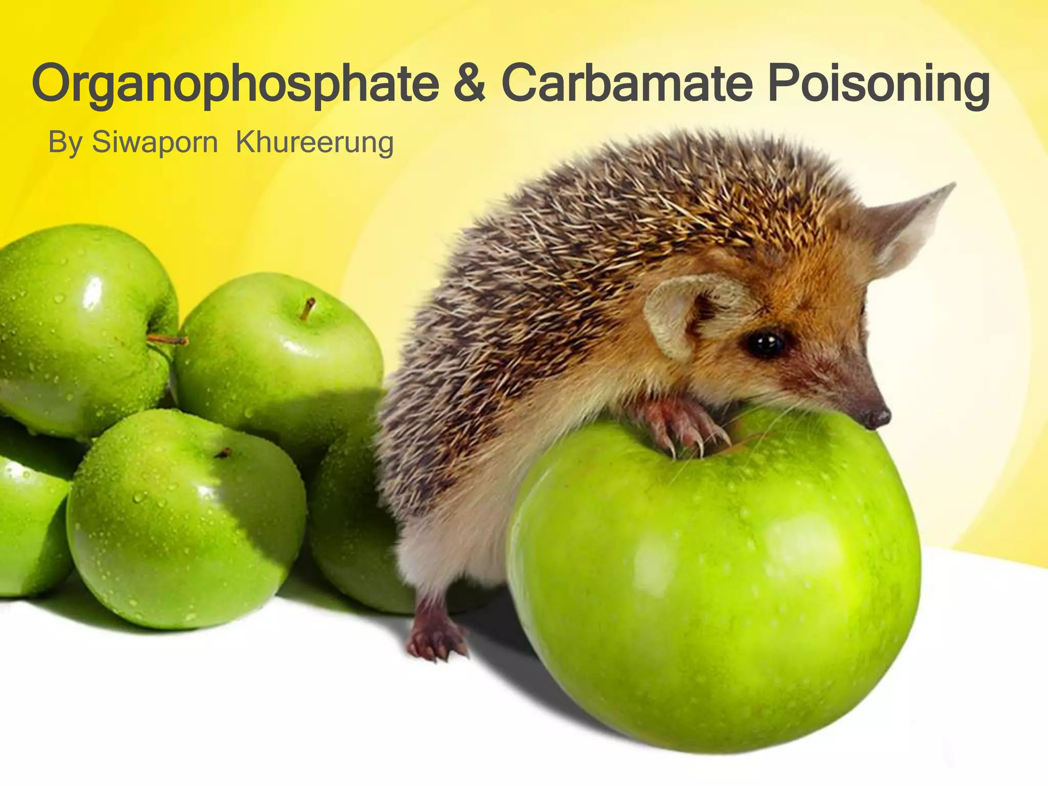 Organophosphate and carbamate poisoning | PPT