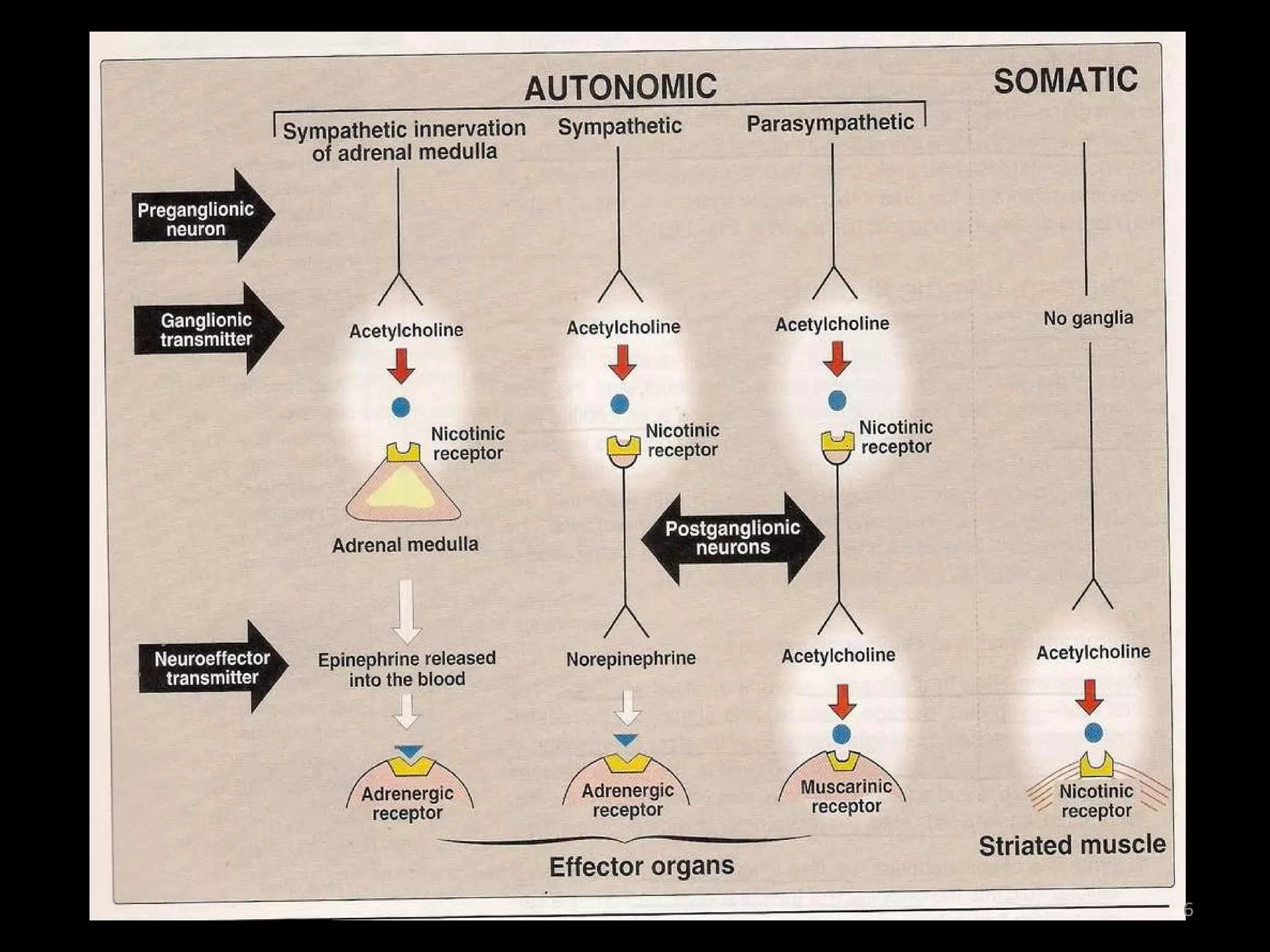 Organophosphate poisoning | PPT