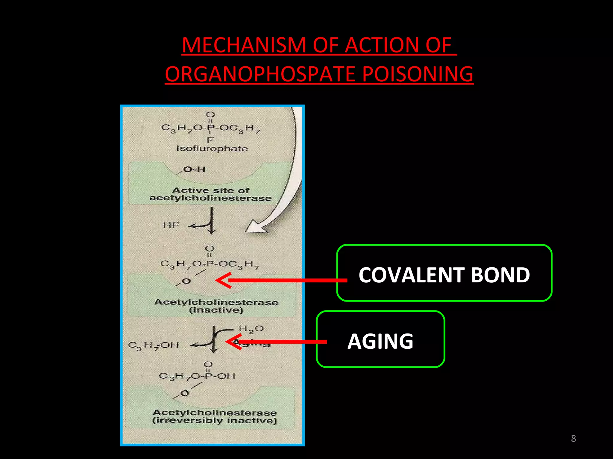 Organophosphate poisoning | PPT