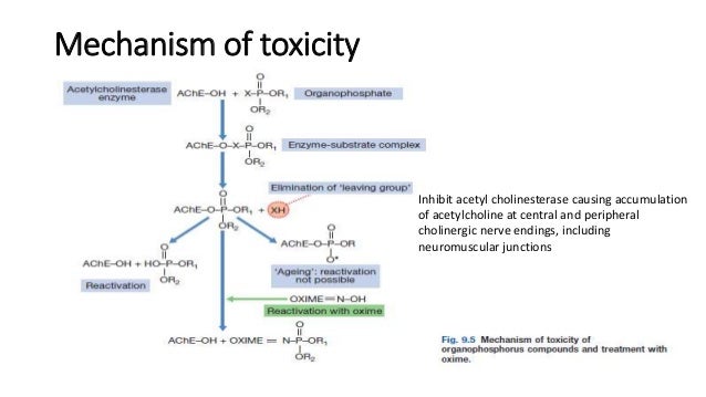 Organophosphate poisoning and its management