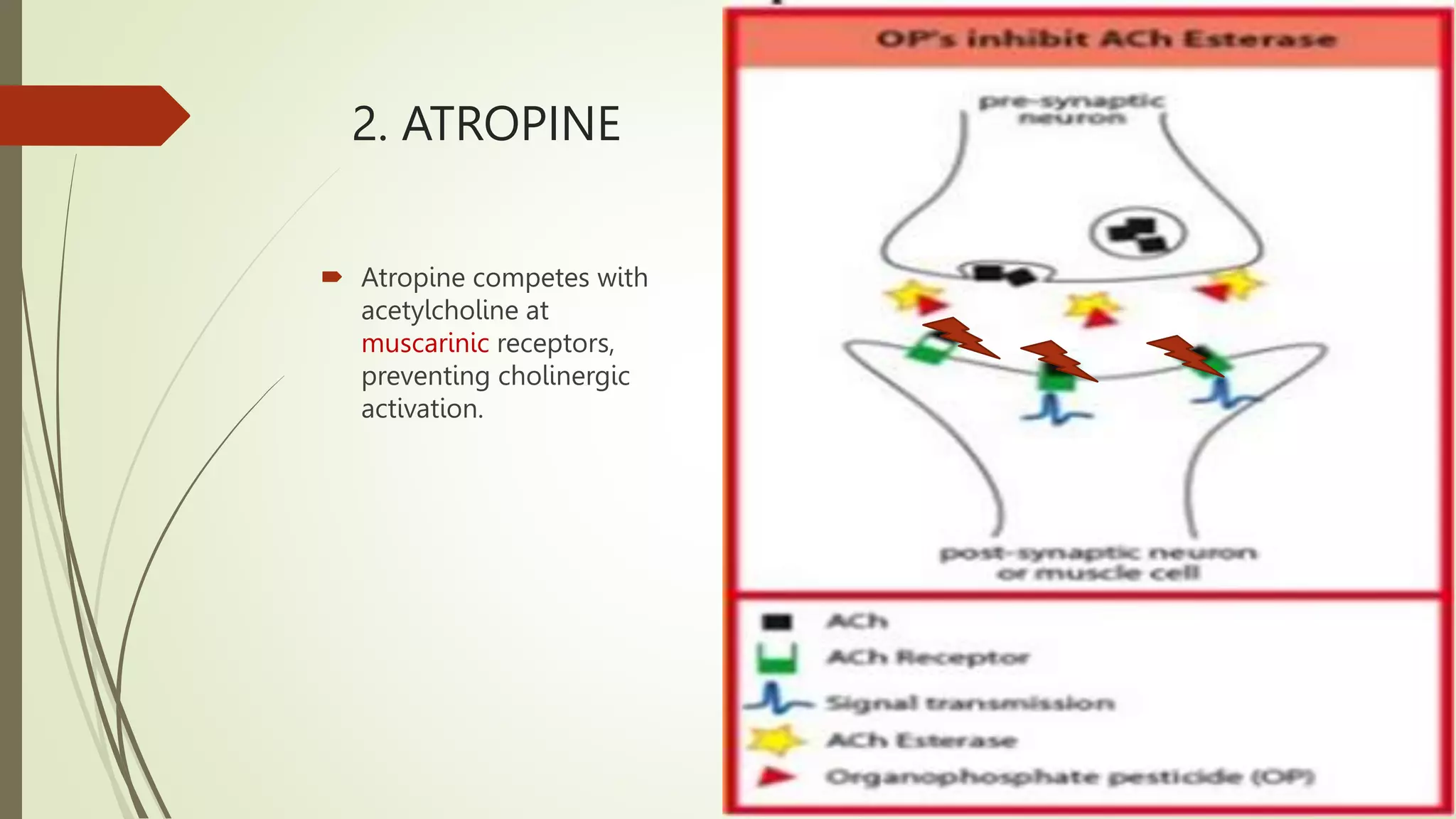 ORGANOPHOSPHATE POISONING.pptx