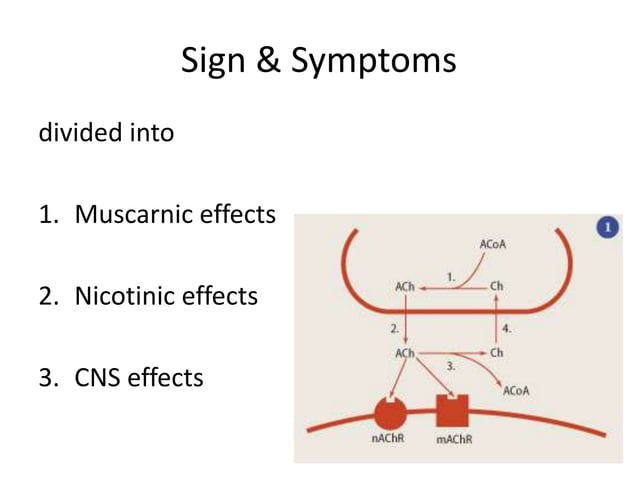 Organo phosphate poisoning | PPTX