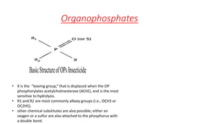Organophosphates | PPTX
