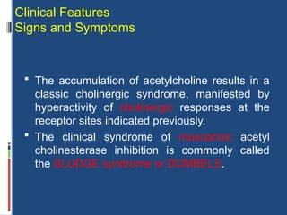 ORGANOPHOSPHATE POISONING IN CHILDRENppt.pptx