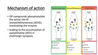Organophosphorous poisoning | PPTX