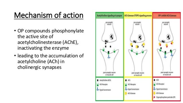 Organophosphorous poisoning