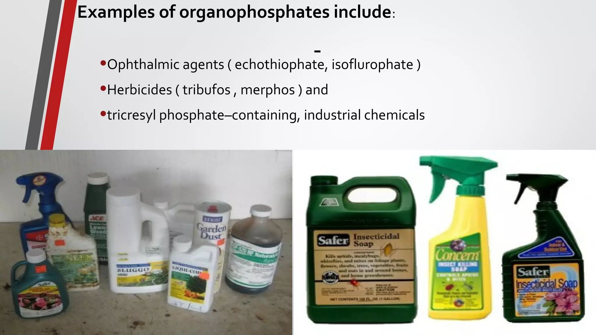 Agricultural Poisons | PPT