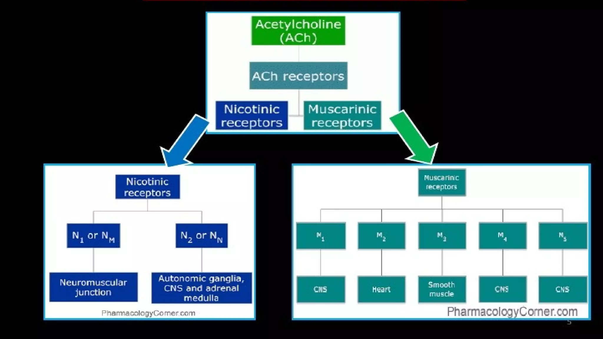 Agricultural Poisons | PPT