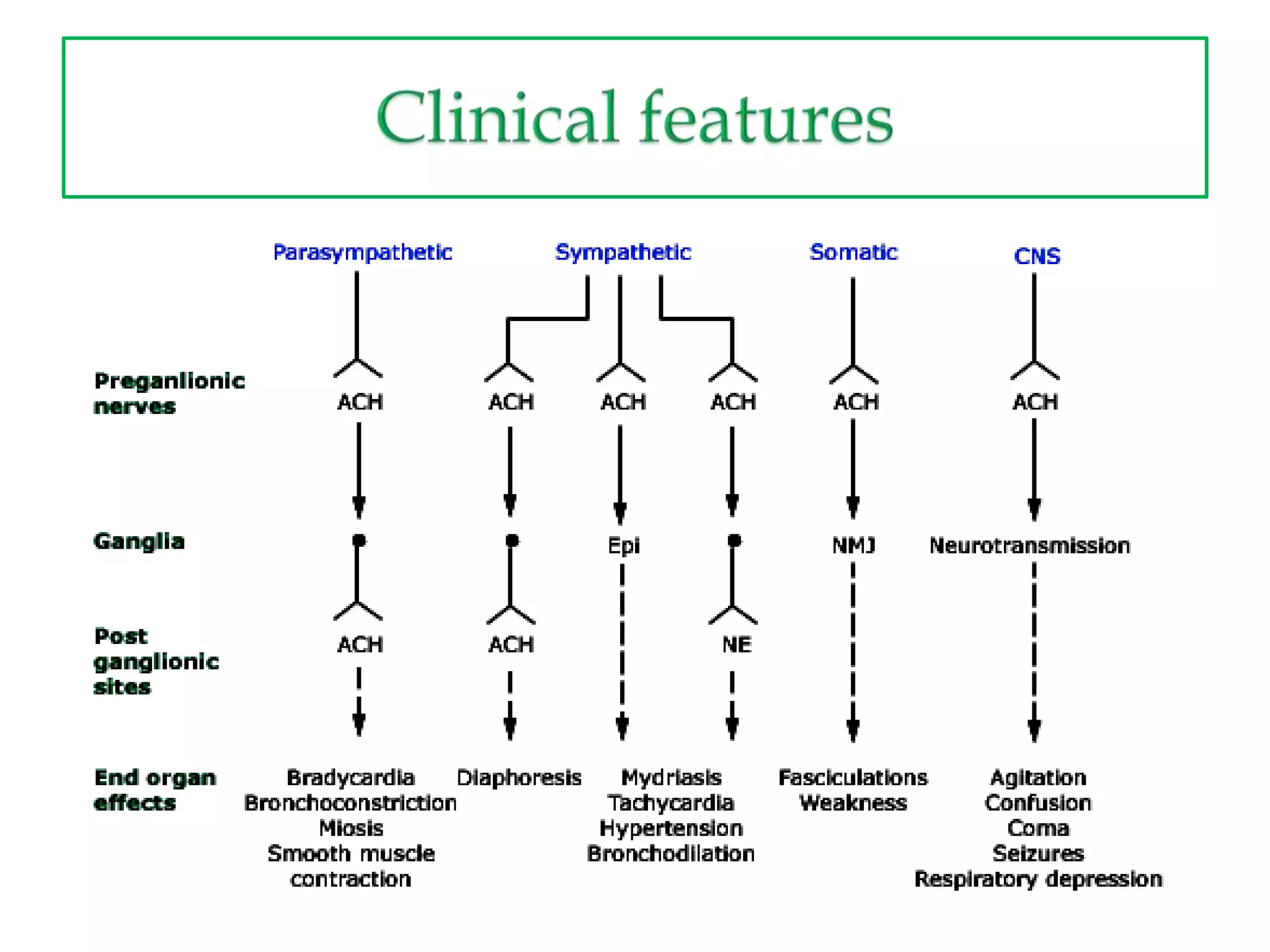 Organophosphorus poisoning | PPTX