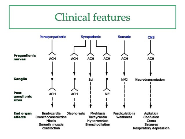 Organophosphate poisoning – DR. TRYNAADH