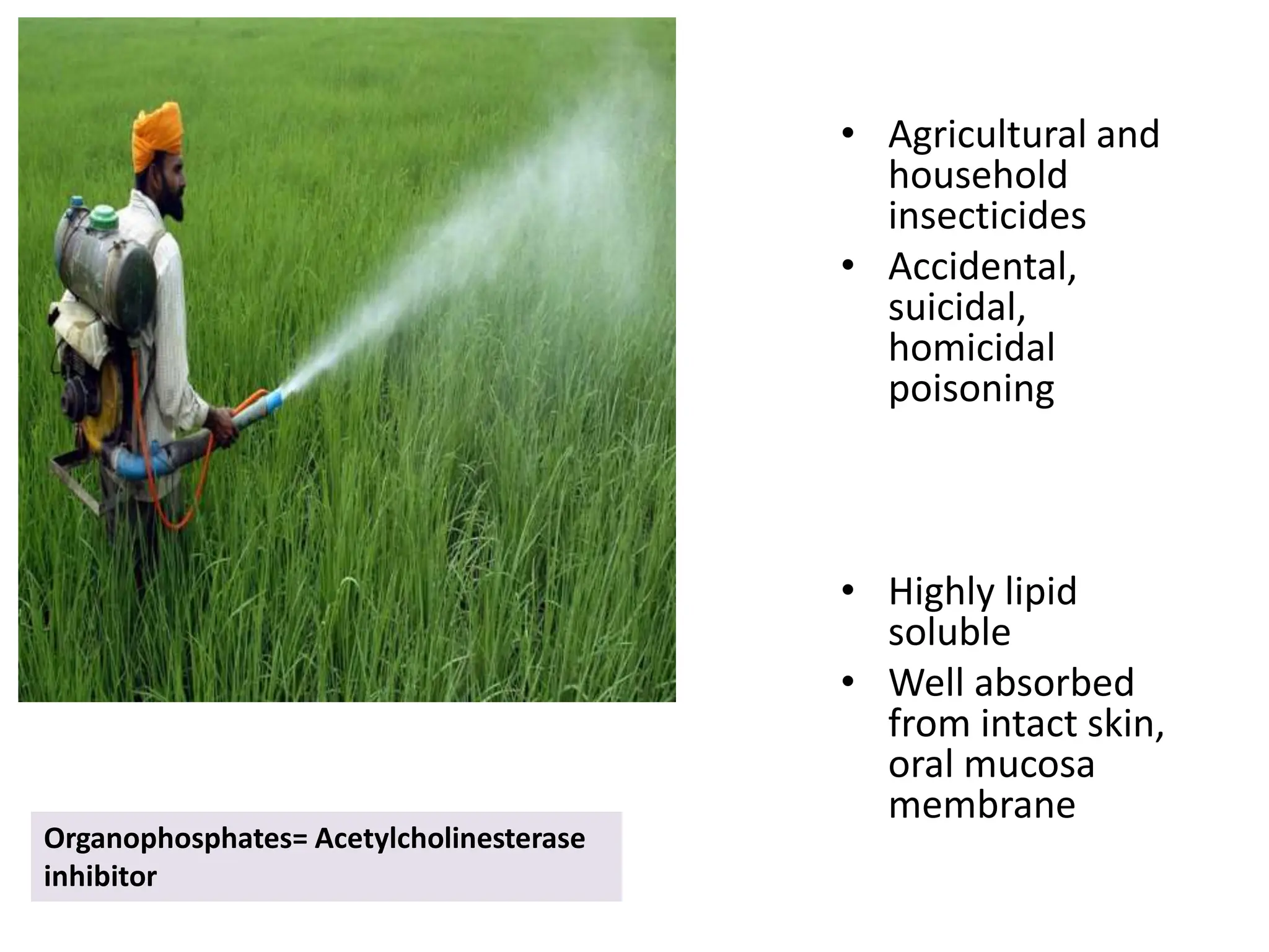 Organophosphorus poisoning for Pharmacology | PPTX