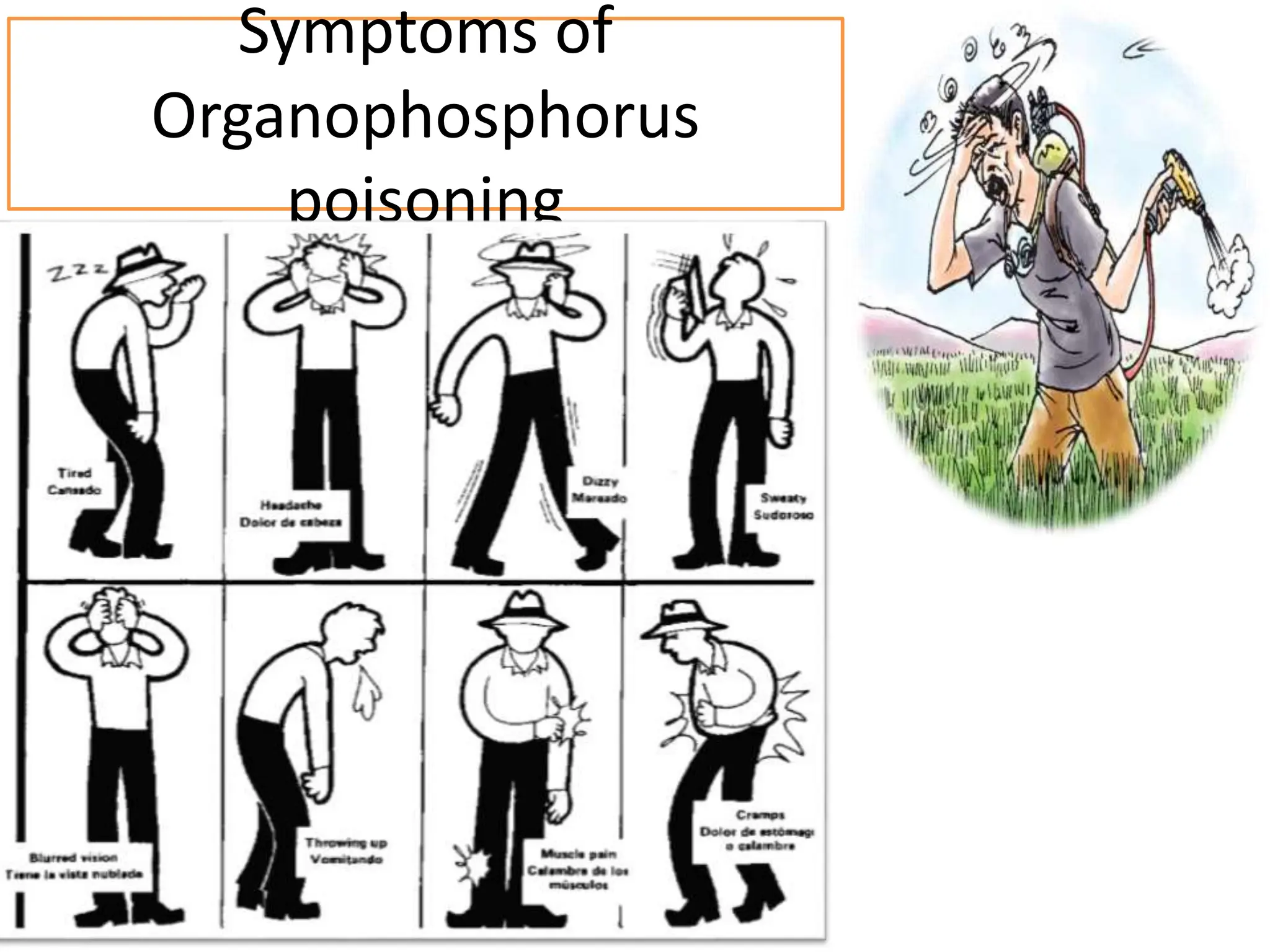 Organophosphorus poisoning for Pharmacology | PPTX