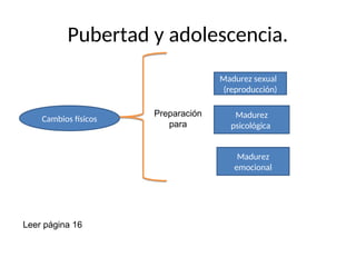Pubertad y Adolescencia: Cambios Físicos y Desarrollo Humano | PPT