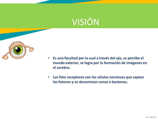 ORGANOS DE LOS SENTIDOS.ppt