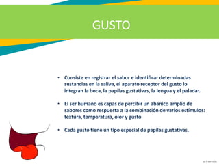 ORGANOS DE LOS SENTIDOS.ppt