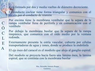 ORGANOS DE LOS SENTIDOS I | PPT