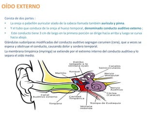 Organos de los sentidos oíido | PPTX