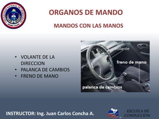 Organos de mando | PPTX