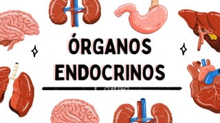 Órganos endocrinos.Histologia.ross.medicine | PDF
