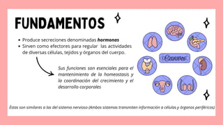Órganos endocrinos.Histologia.ross.medicine | PDF