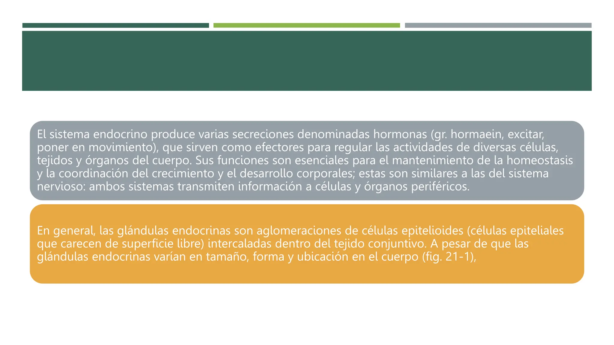 ORGANOS ENDOCRINOS PRACTICA. DE HISTOLOGIA | PPTX