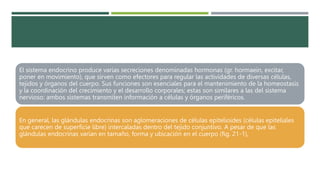 ORGANOS ENDOCRINOS PRACTICA. DE HISTOLOGIA | PPTX