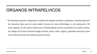 Anatomía y Función de los Órganos Intrapélvicos Femeninos para ...