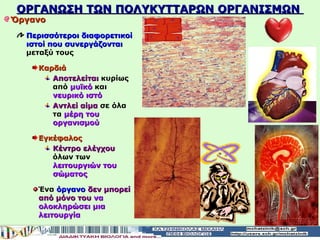 Organositonpolukuttaronorganismon | PPT