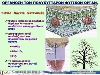 Organositonpolukuttaronorganismon | PPT
